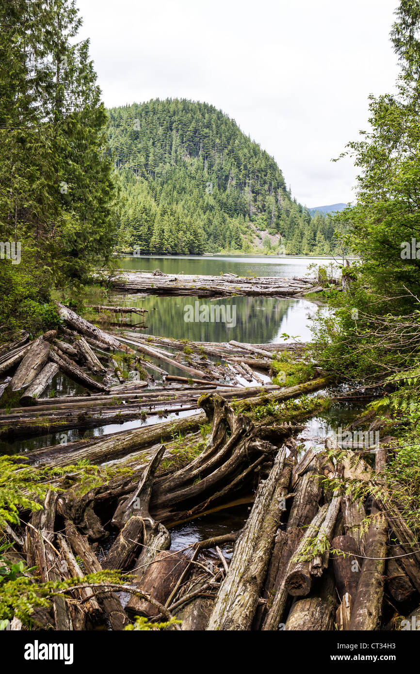 Washington State Mountain lake during Summer Stock Photo - Alamy