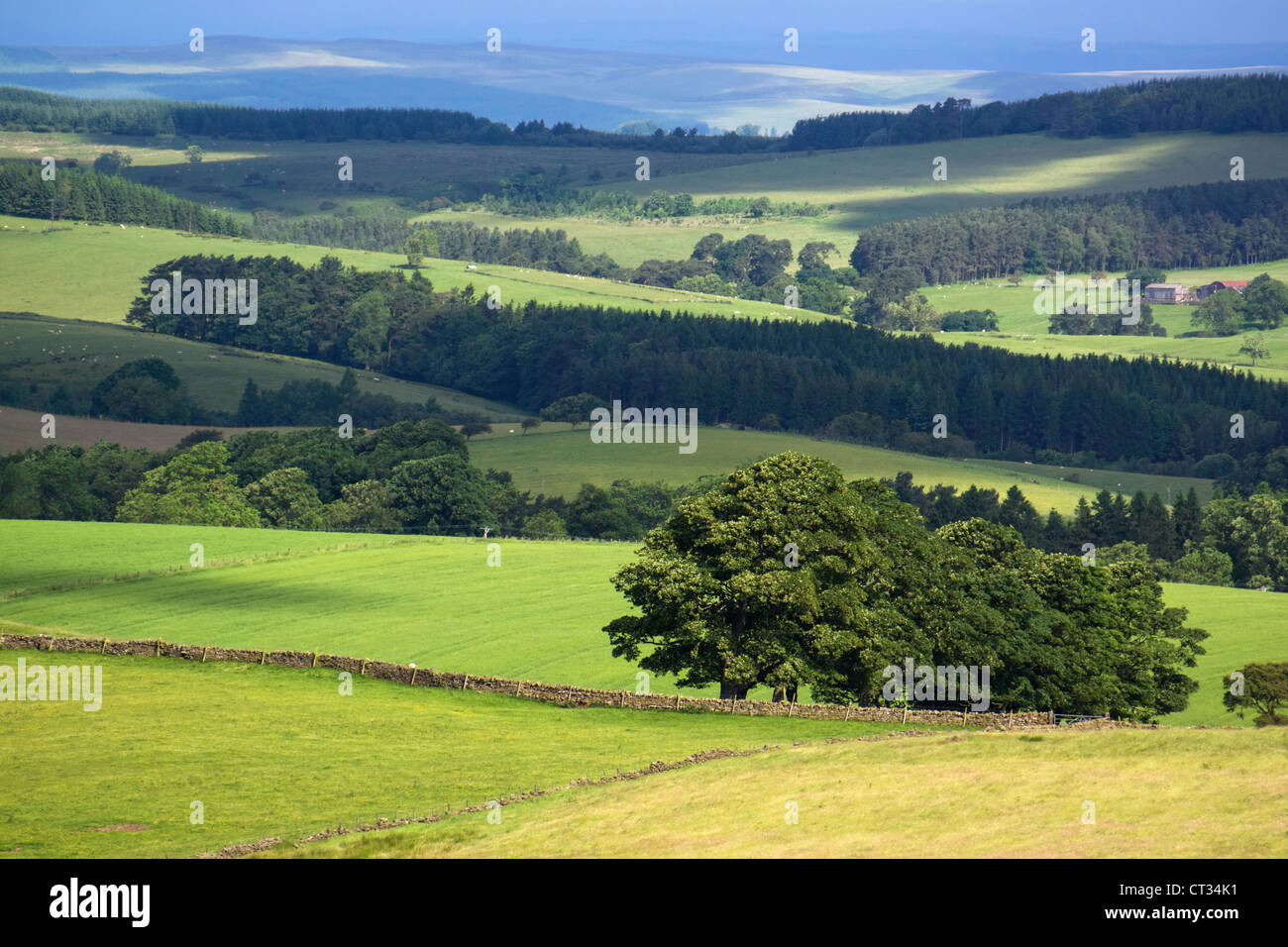 Looking out across the rolling countryside from Hadrian's Wall in ...