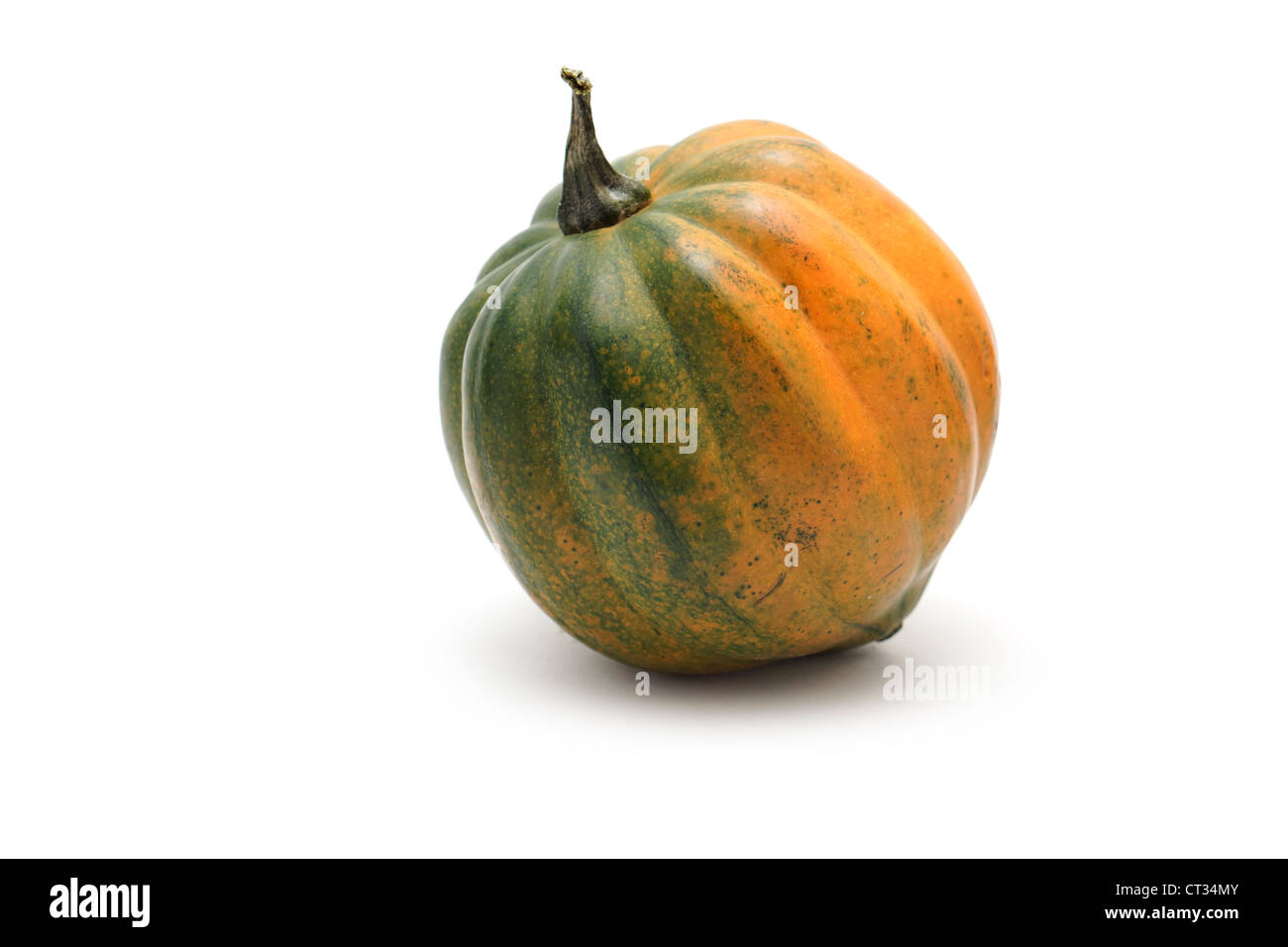 Single squash vegetable hi-res stock photography and images - Alamy