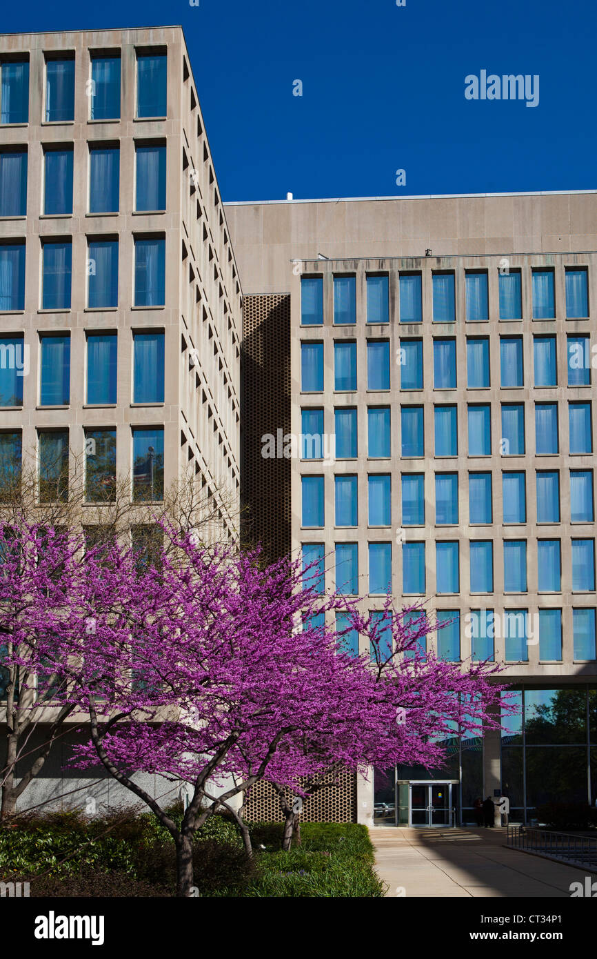 Office building tree hi-res stock photography and images - Alamy