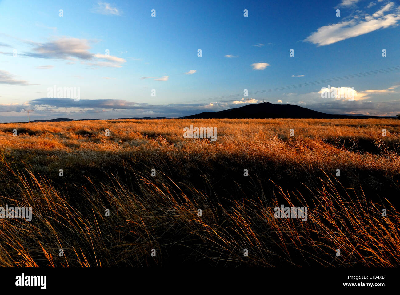 Sleza, mountain, landscape, silesia, poland, dolnoslaskie, sleza ...