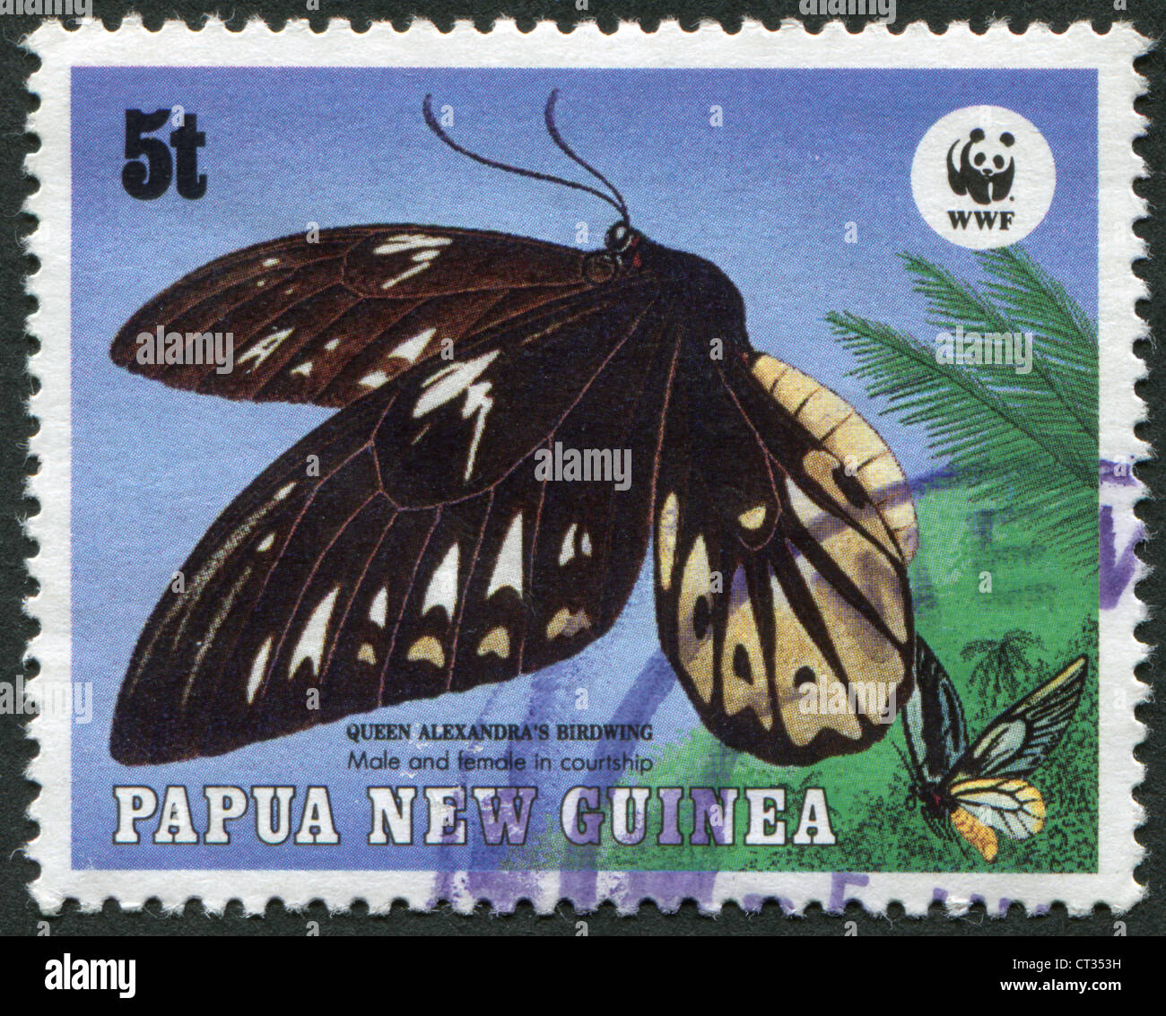 Queen alexandra's birdwing butterfly hi-res stock photography and ...
