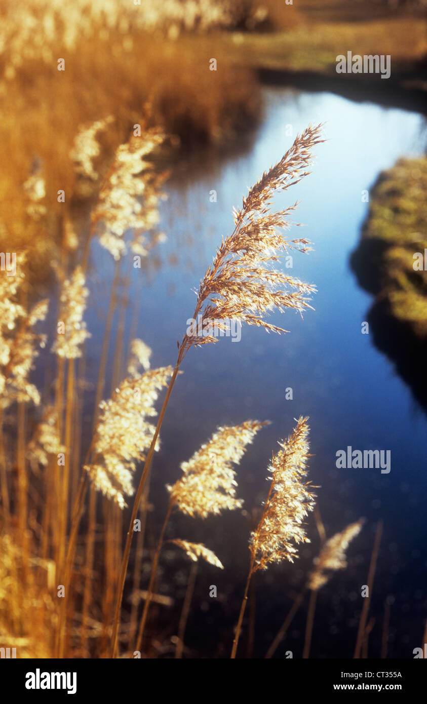 Non perennial river hi-res stock photography and images - Alamy