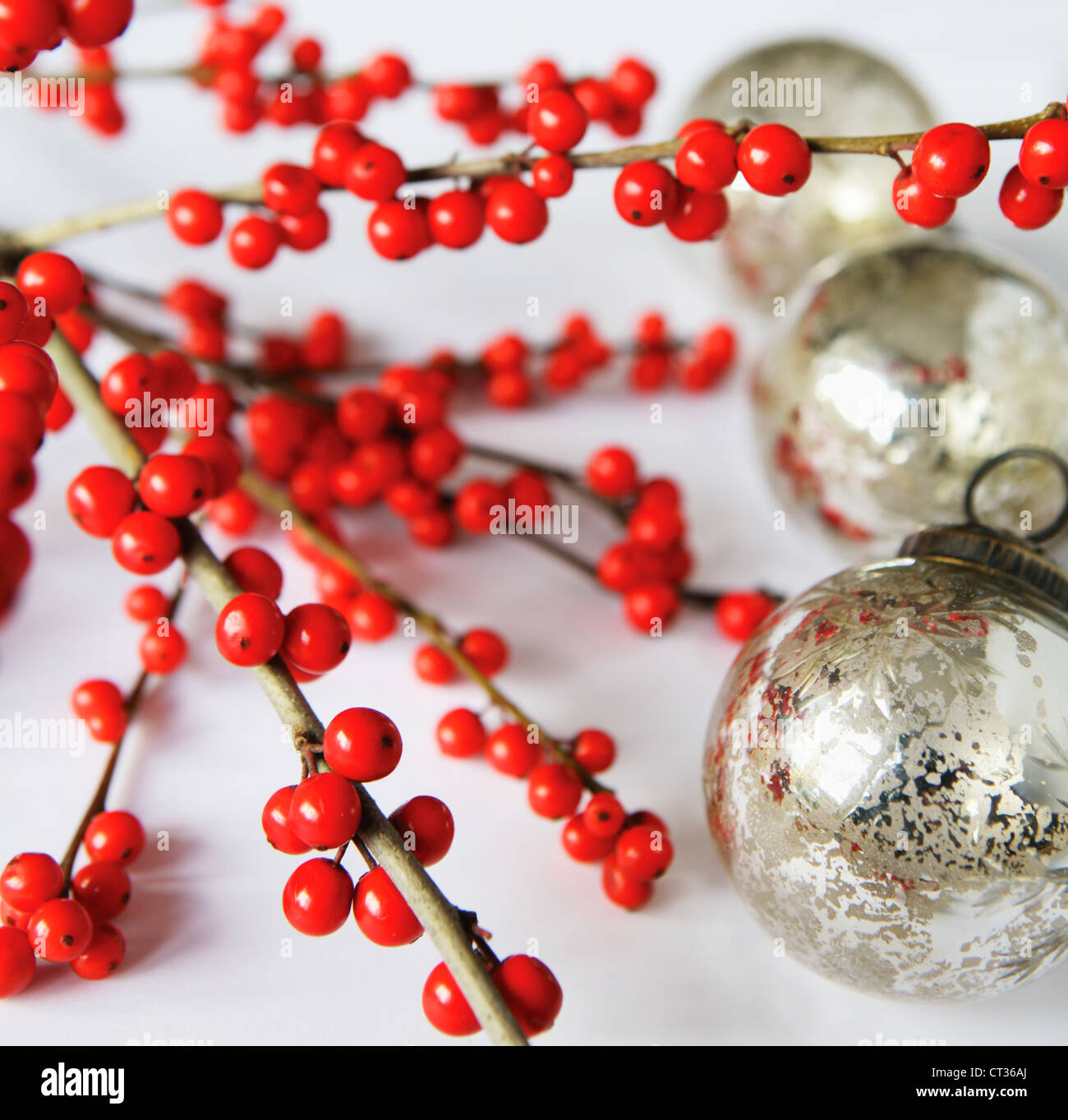 Holly square hi-res stock photography and images - Alamy