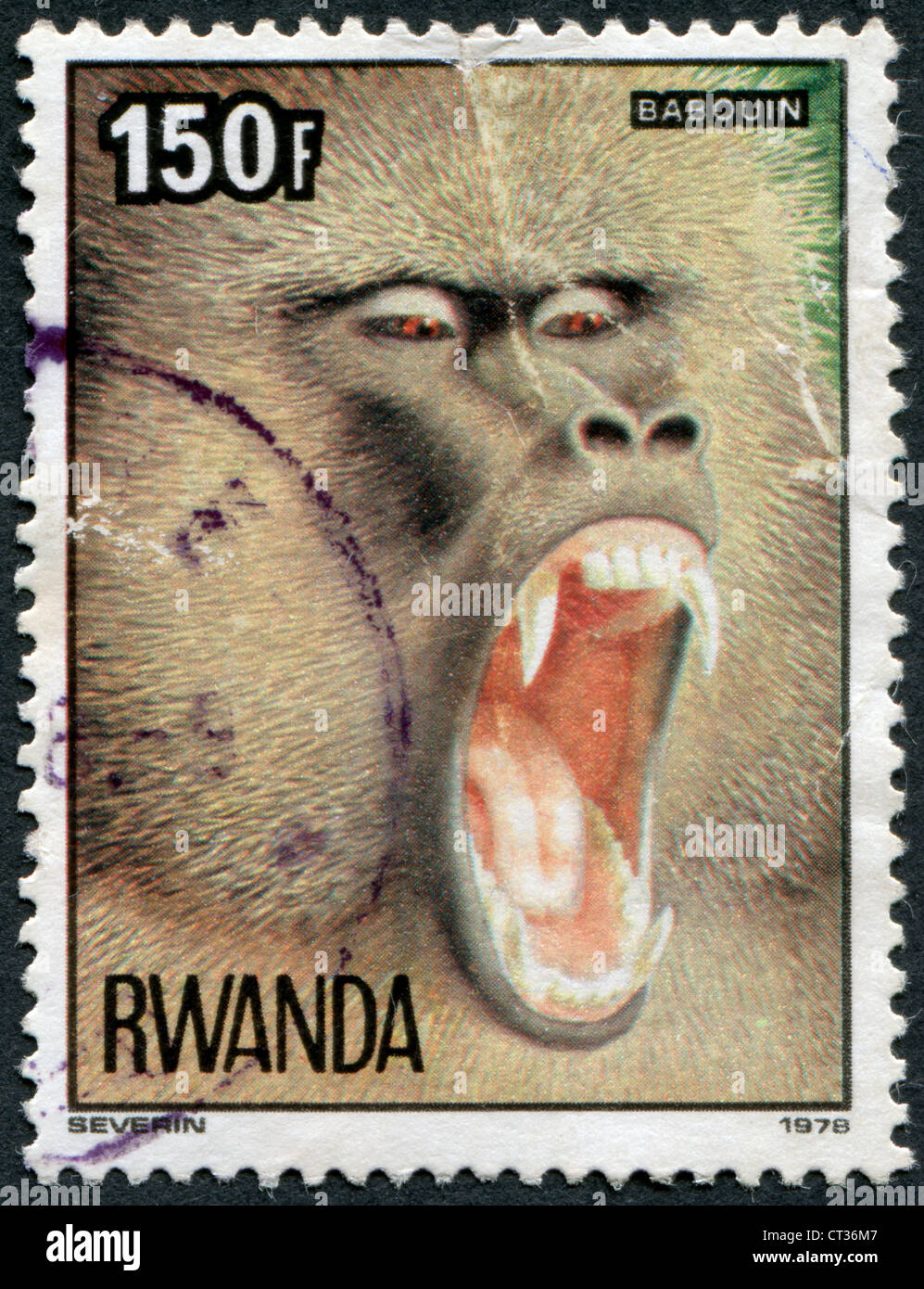 RWANDA - CIRCA 1978: A stamp printed in the Rwanda, depicts a monkey ...