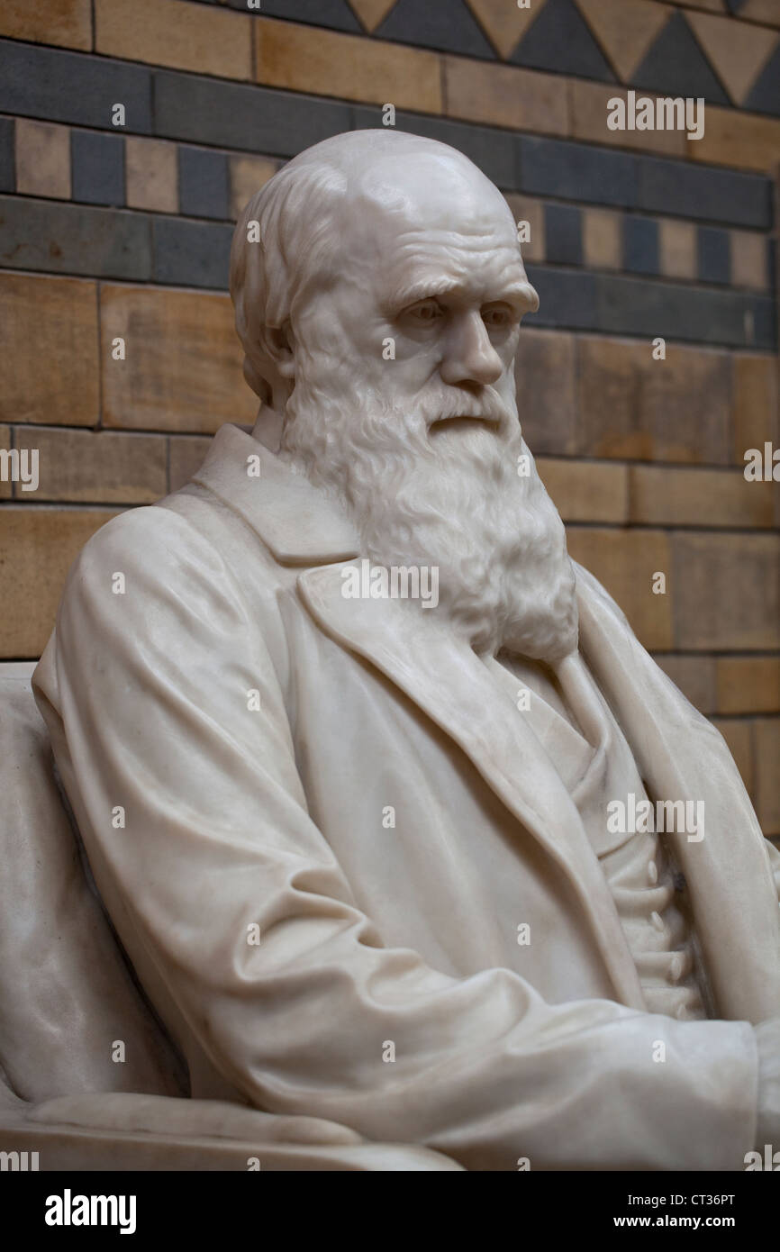 Charles darwin evolution theory hi-res stock photography and images - Alamy