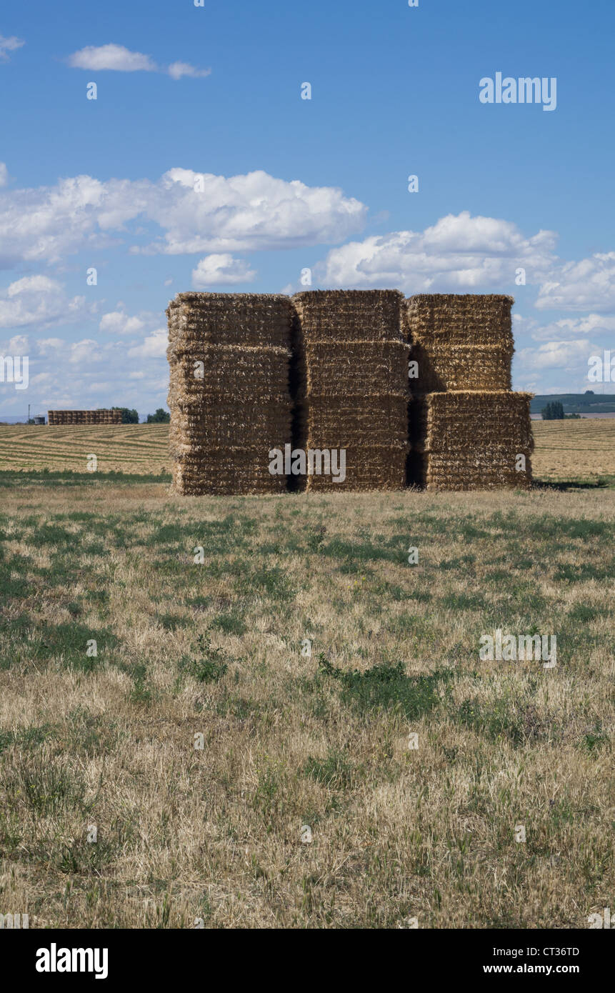 A stack of square hay bales under a blue sky with white clouds Stock ...
