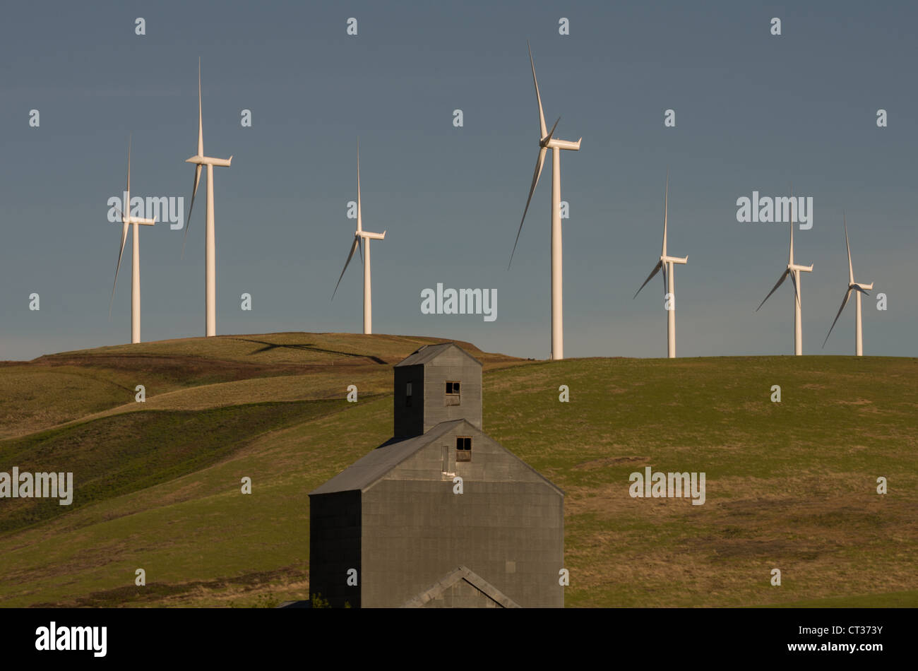 Wind turbines replacing traditional agriculture Stock Photo - Alamy