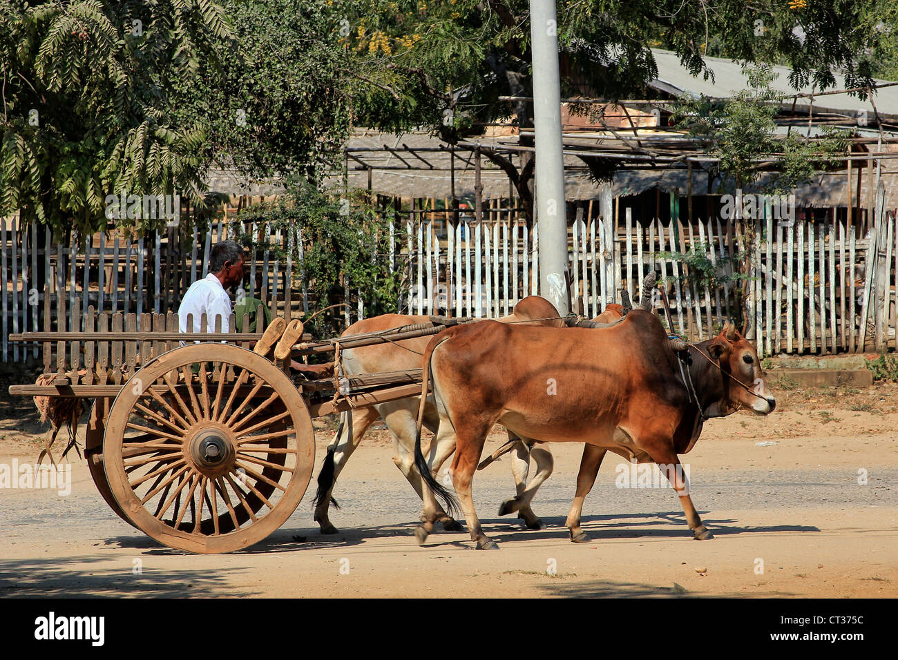 Wooden ox cart hi-res stock photography and images - Alamy