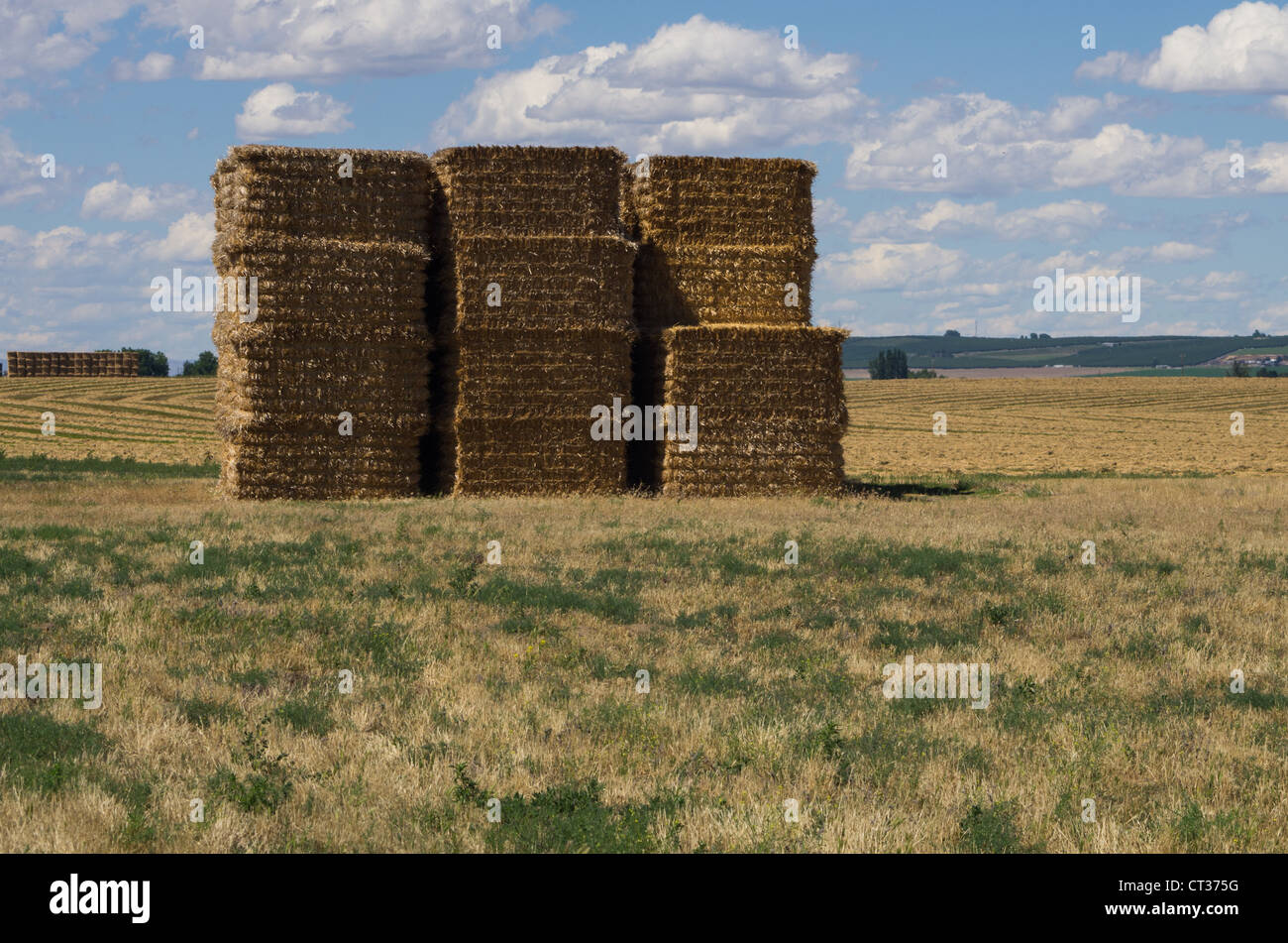 A stack of large hay bales in a pasture with blue sky and white clouds ...