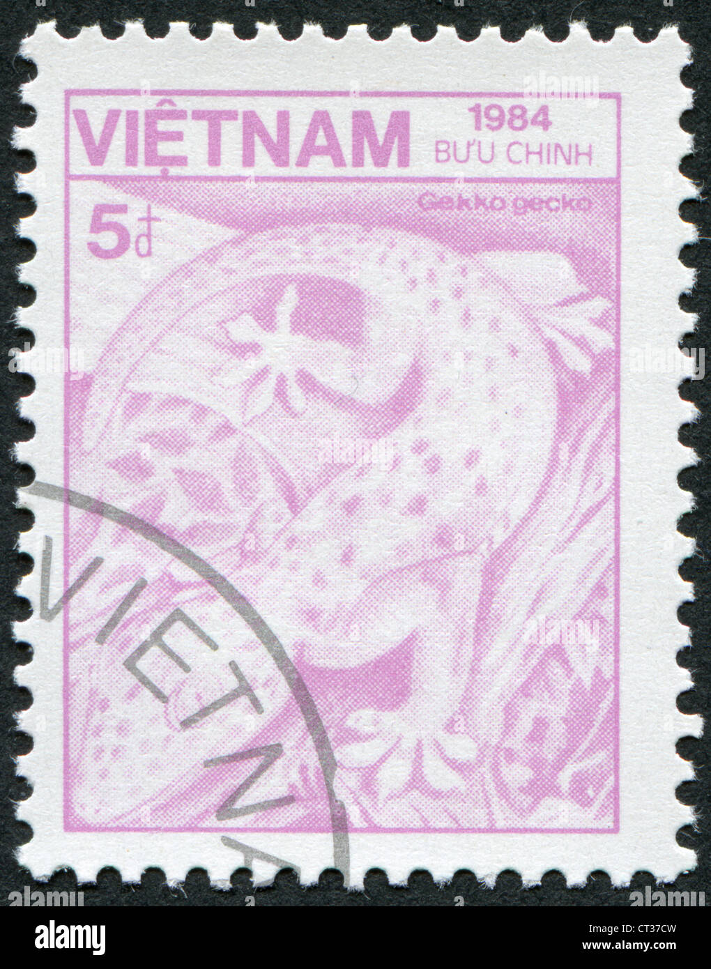 VIETNAM-CIRCA 1984: A stamp printed in the Vietnam shows Tokay Gecko ...