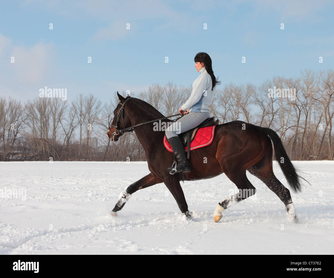 Pretty girl horseback riding in the winter forest Stock Photo - Alamy