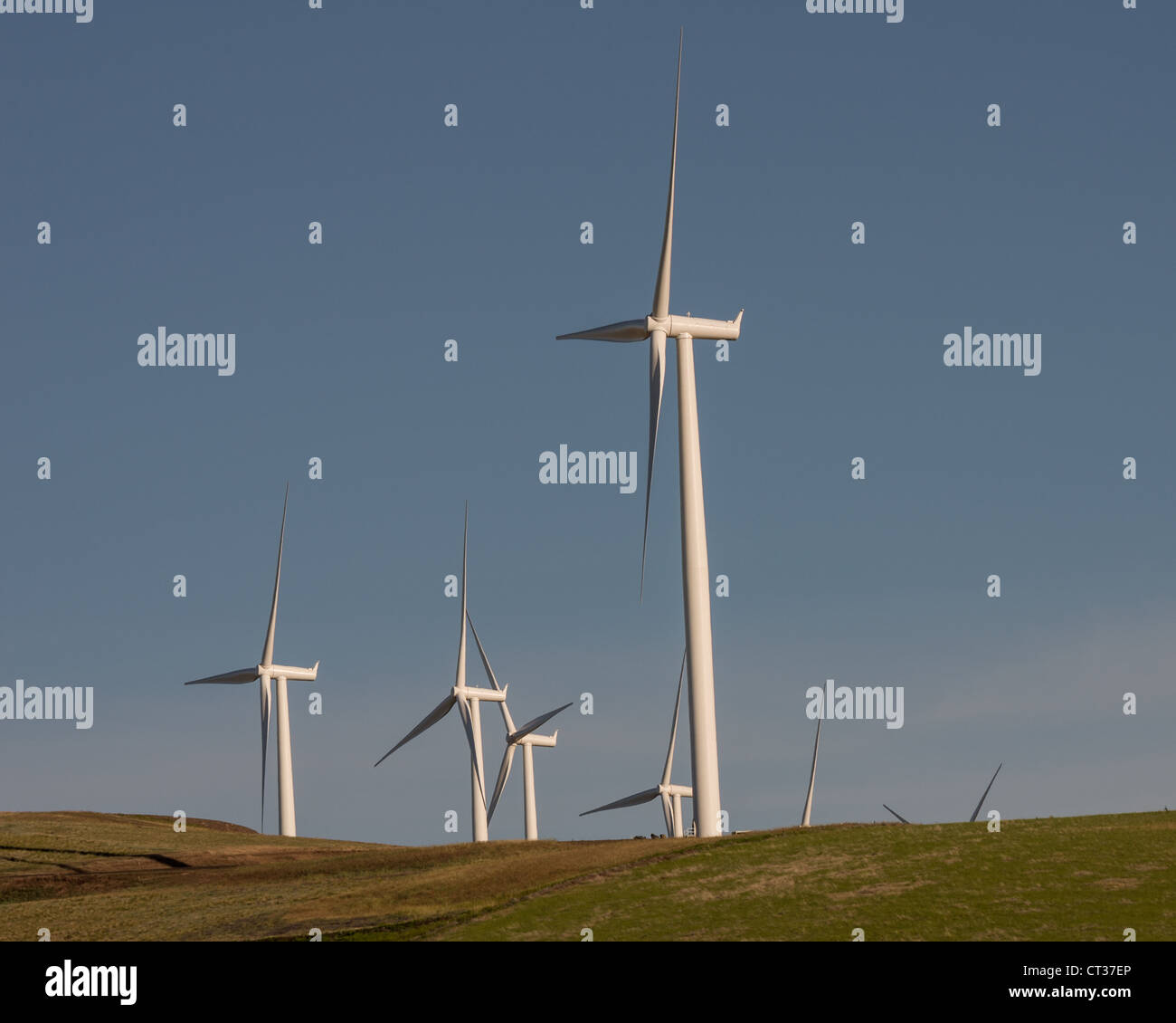 A group of wind turbines producing green energy Stock Photo - Alamy