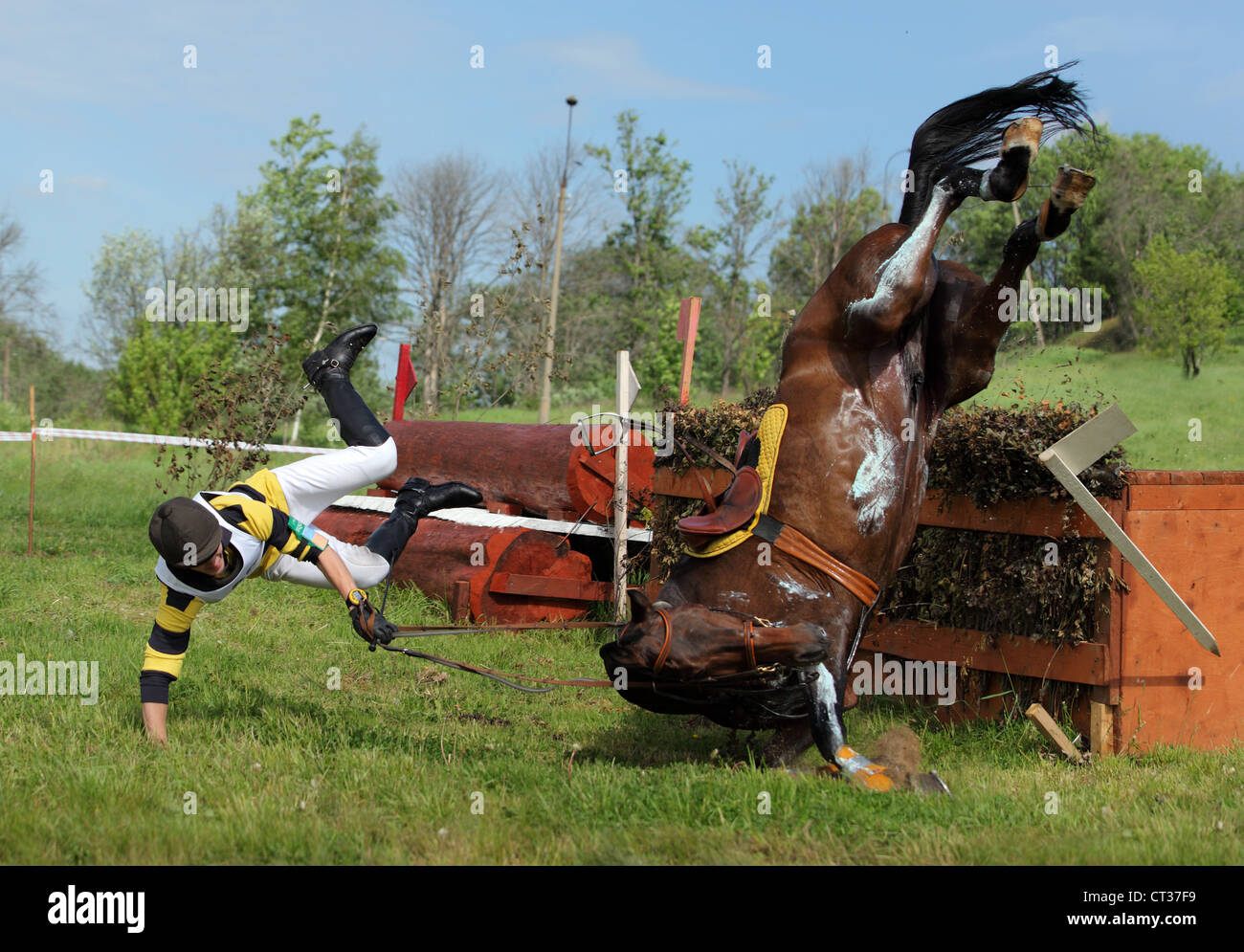Sport horse trials action hi-res stock photography and images - Alamy