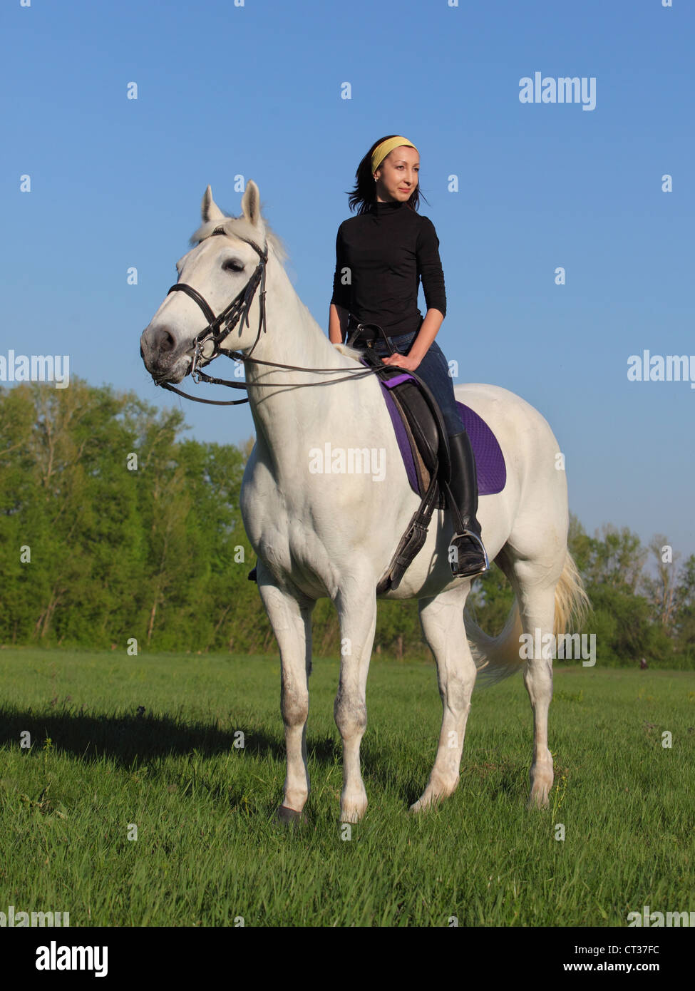 Beautiful asian woman riding a white horse Stock Photo - Alamy