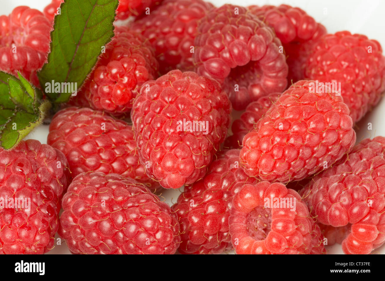 Red raspberries and mint closeup Stock Photo - Alamy