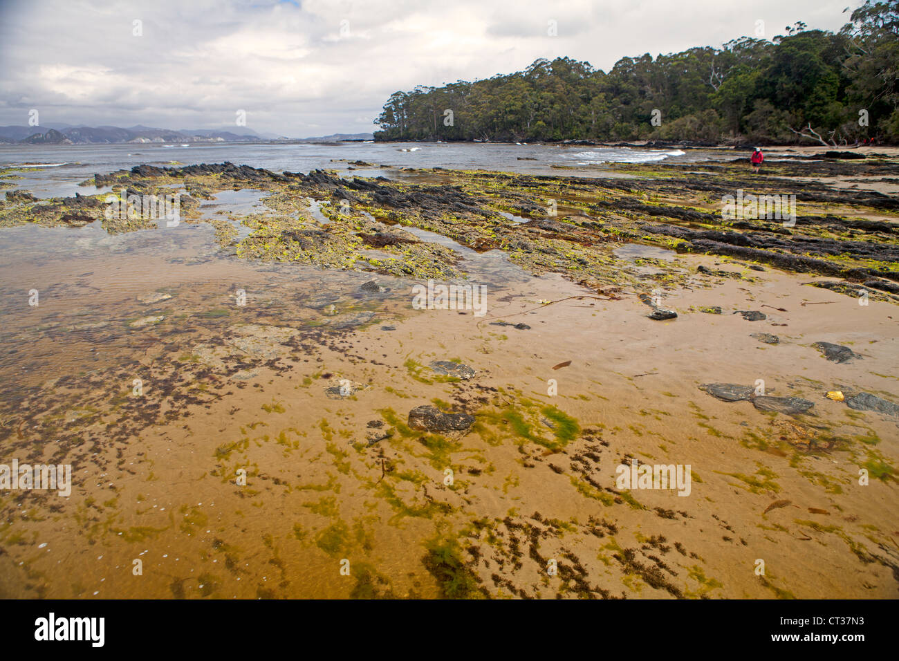 View across Port Davey from Earles Point in Tasmania's Southwest ...