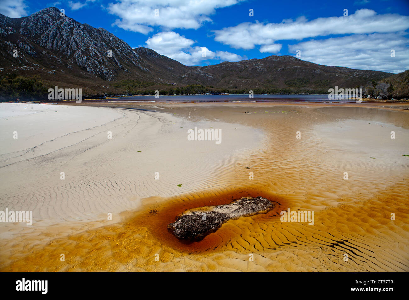 Bramble Cove in Bathurst Harbour in Tasmania's Southwest National Park ...