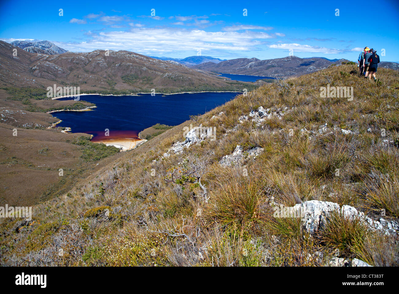 Bushwalkers above Bramble Cove in Tasmania's Southwest National Park ...