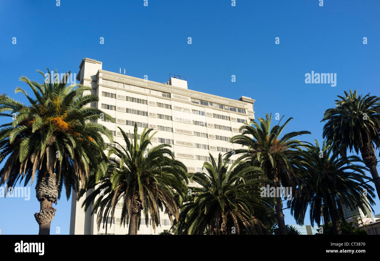 A "classic" luxury high rise hotel in Santa monica with palm trees in ...