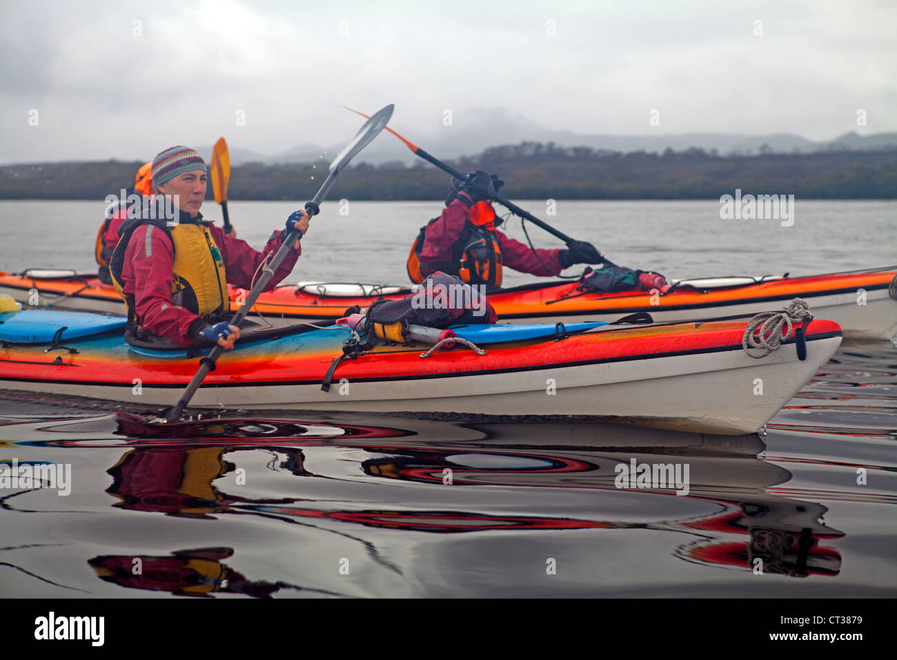 Kayaking in Port Davey in Tasmania's Southwest National Park Stock ...