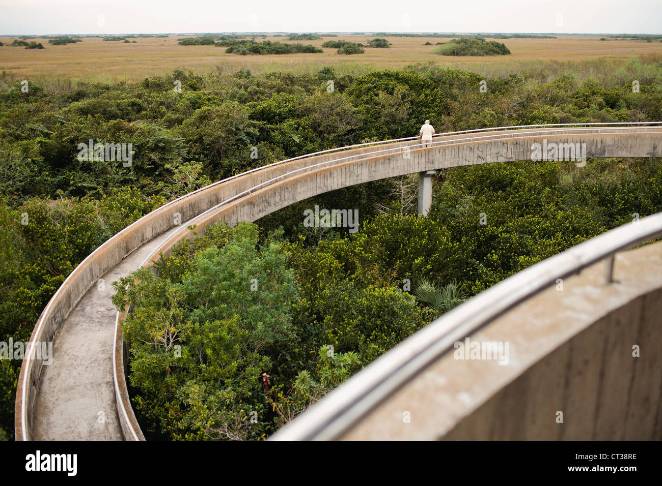 Observation tower with one man in the Shark Valley in Everglades ...