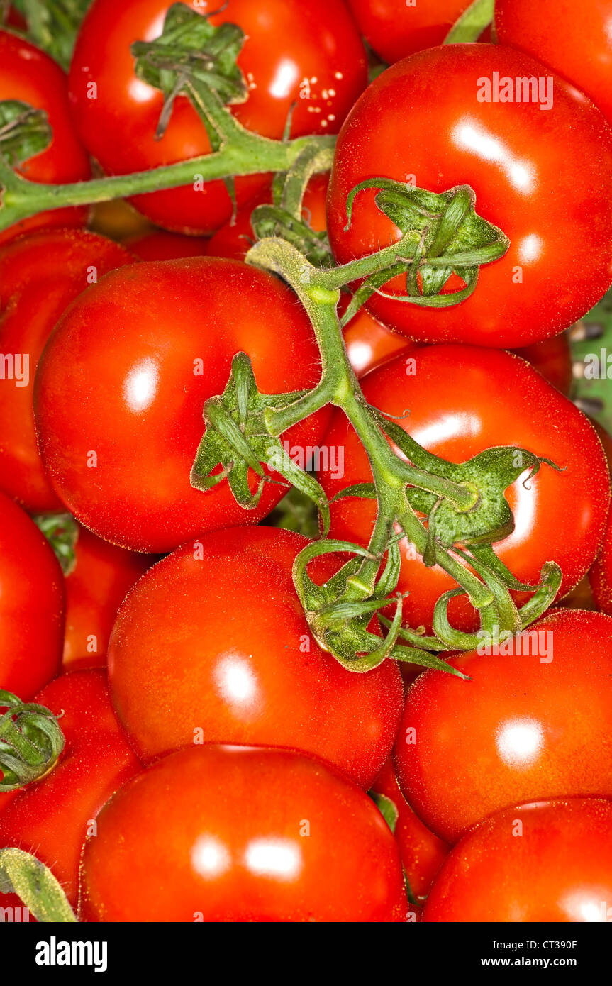 Riped tomato hi-res stock photography and images - Alamy