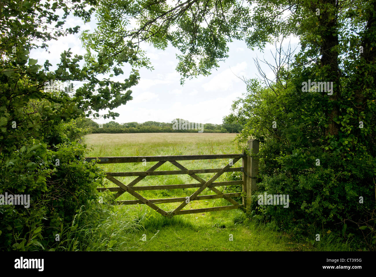 Five bar wooden field gate hi-res stock photography and images - Alamy