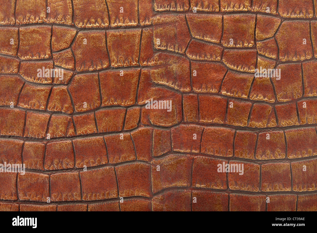 Crocodile leather texture background Stock Photo - Alamy
