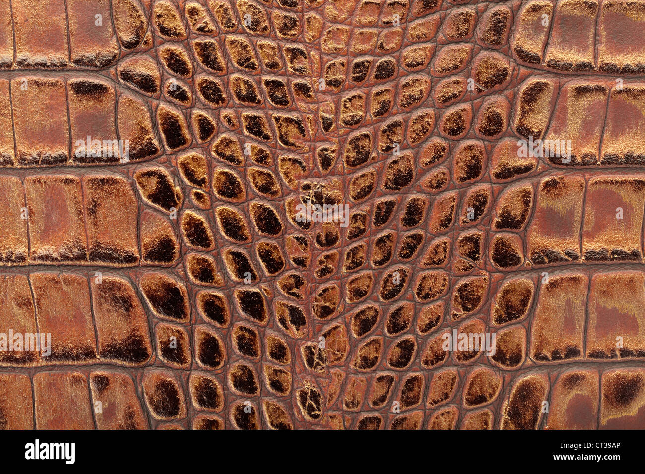 Crocodile leather texture background Stock Photo - Alamy