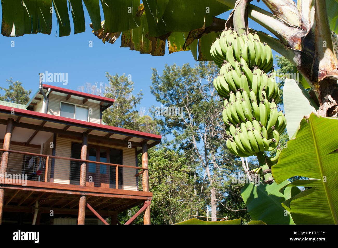 Pole house hi-res stock photography and images - Alamy