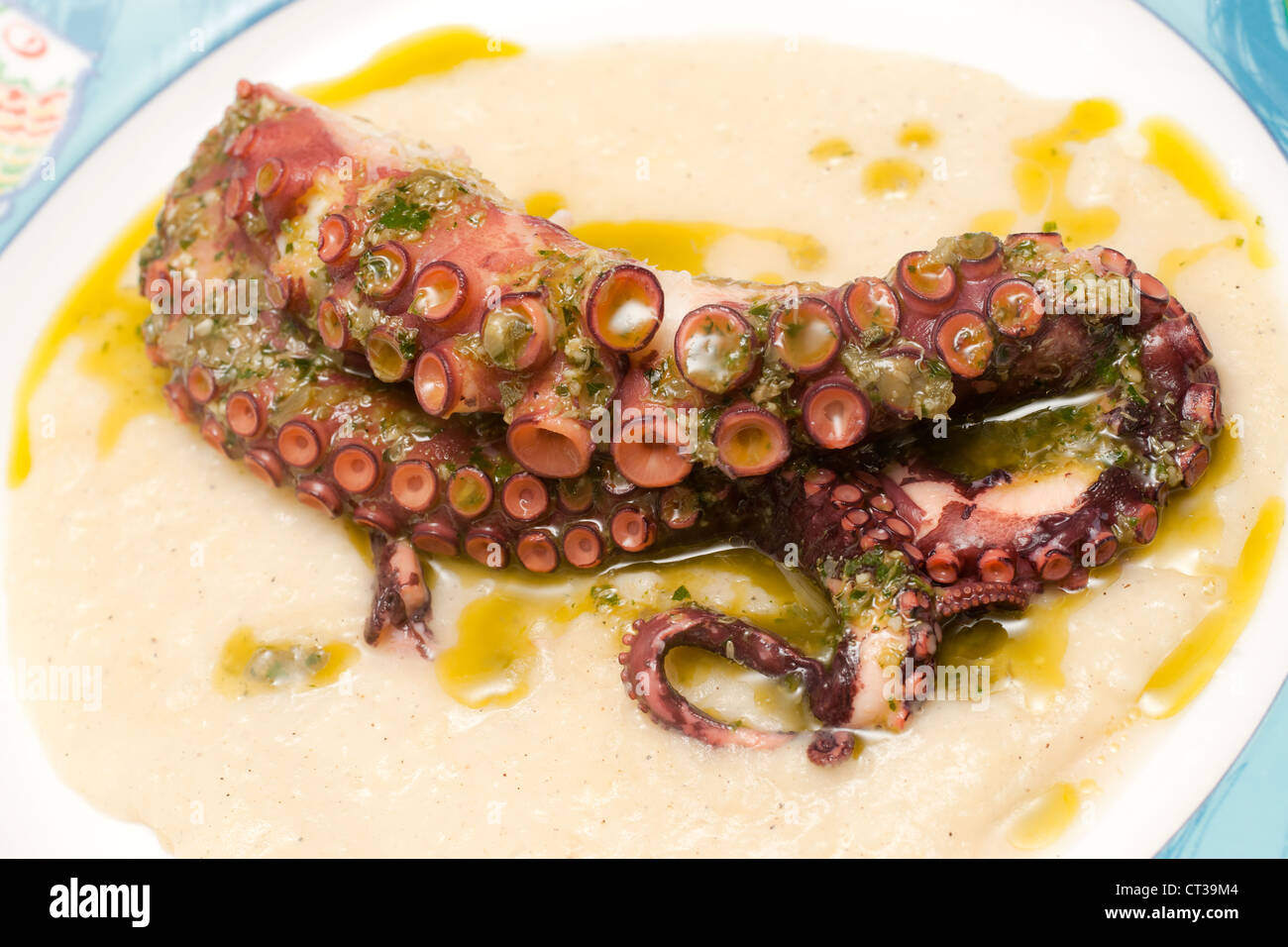 Boiled octopus on potato mousse Stock Photo - Alamy