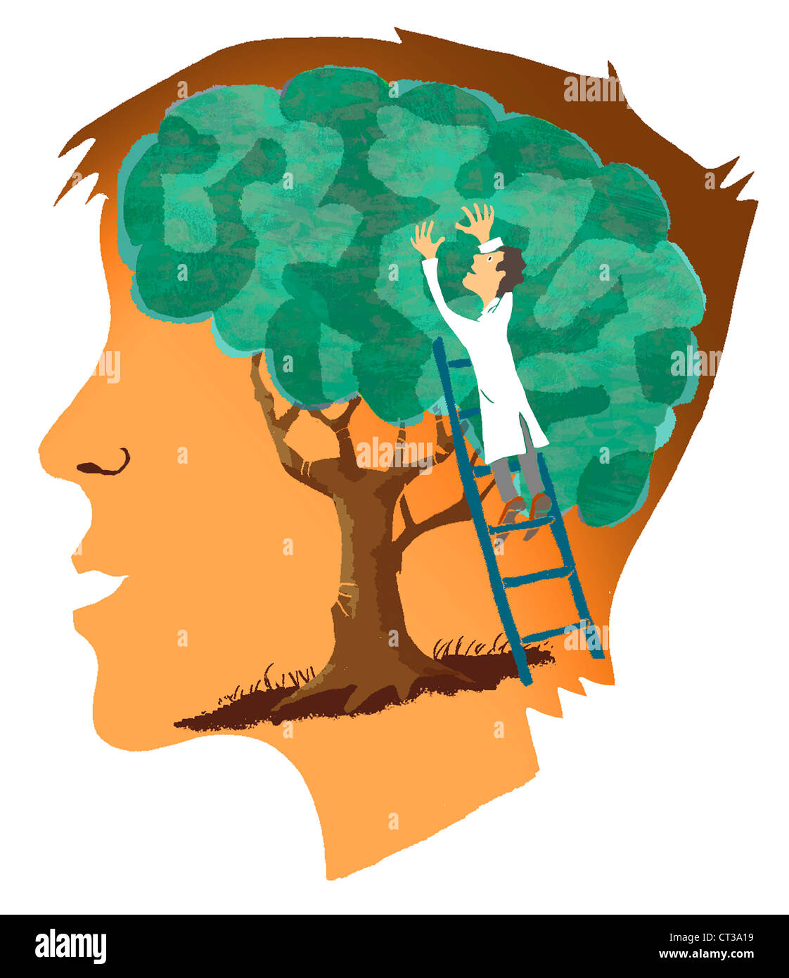 Human brain trees hi-res stock photography and images - Alamy