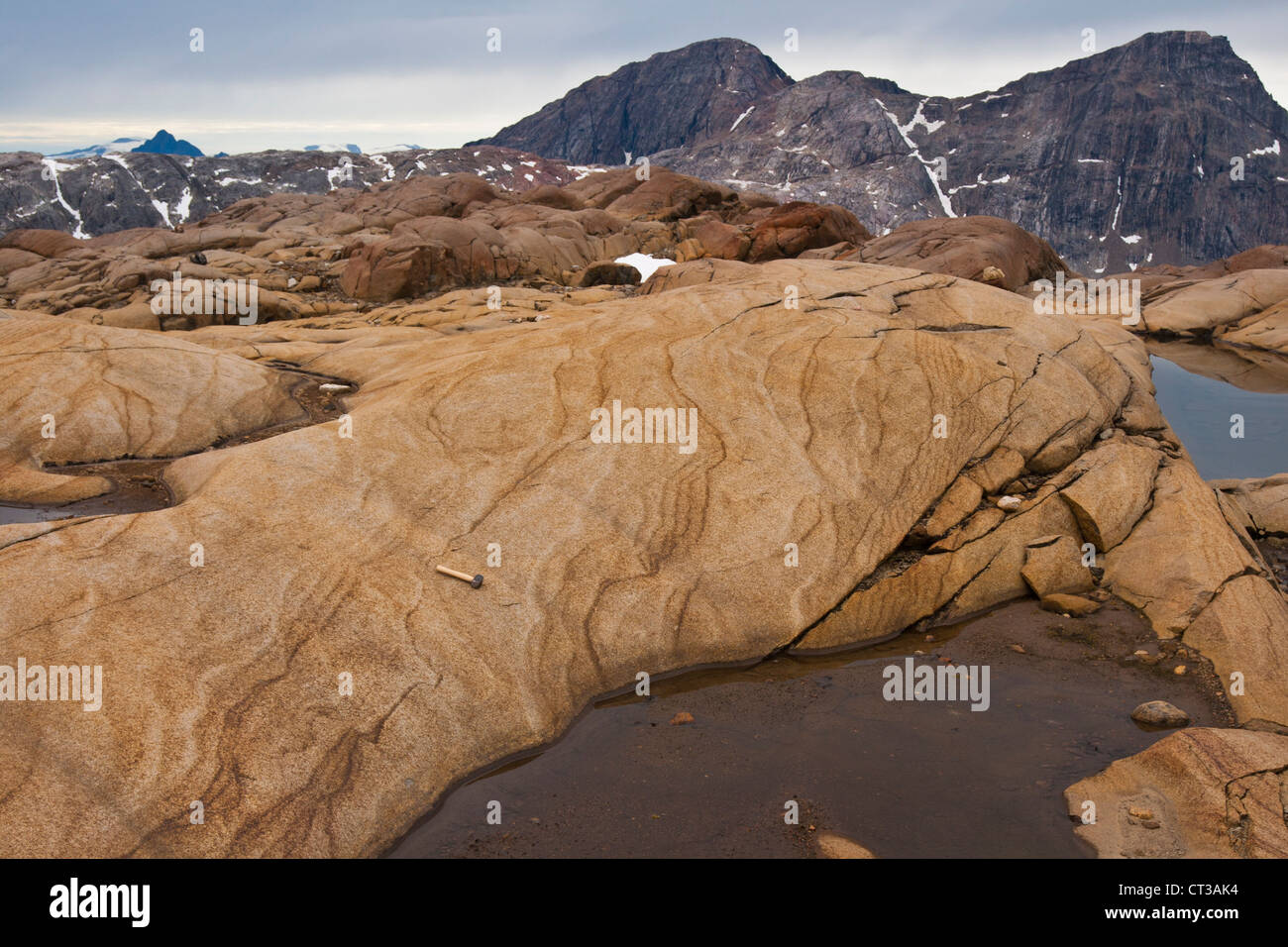 Igneous layering in gabbro of the Skaergaard intrusion, East Greenland ...