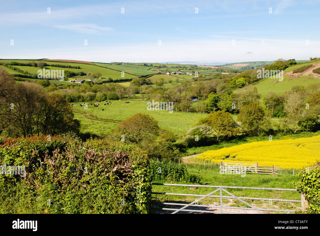View over Lower Sturtlebury Wood and Lords Wood near Loddiswell in the ...