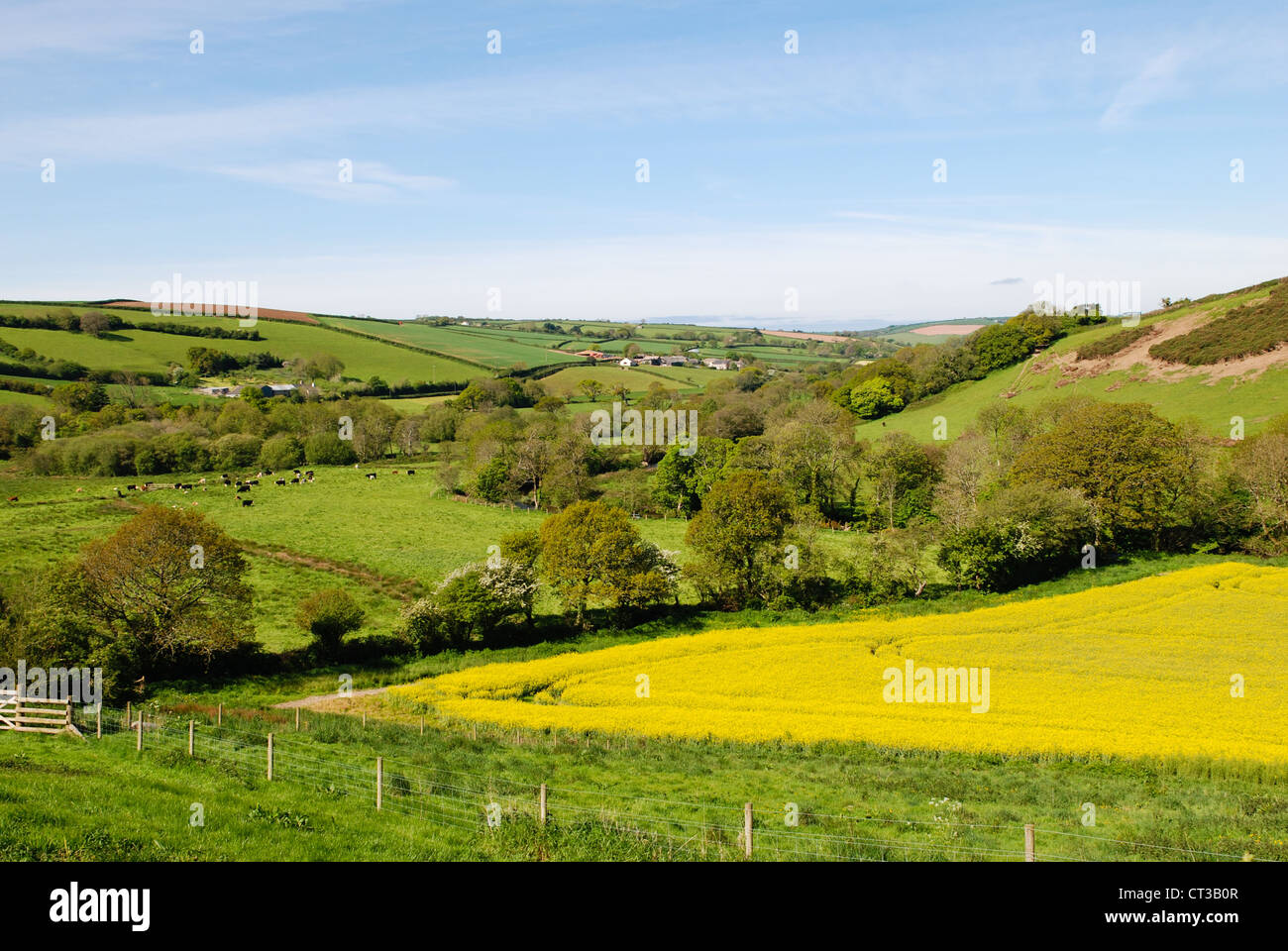 View over Lower Sturtlebury Wood and Lords Wood near Loddiswell in the ...