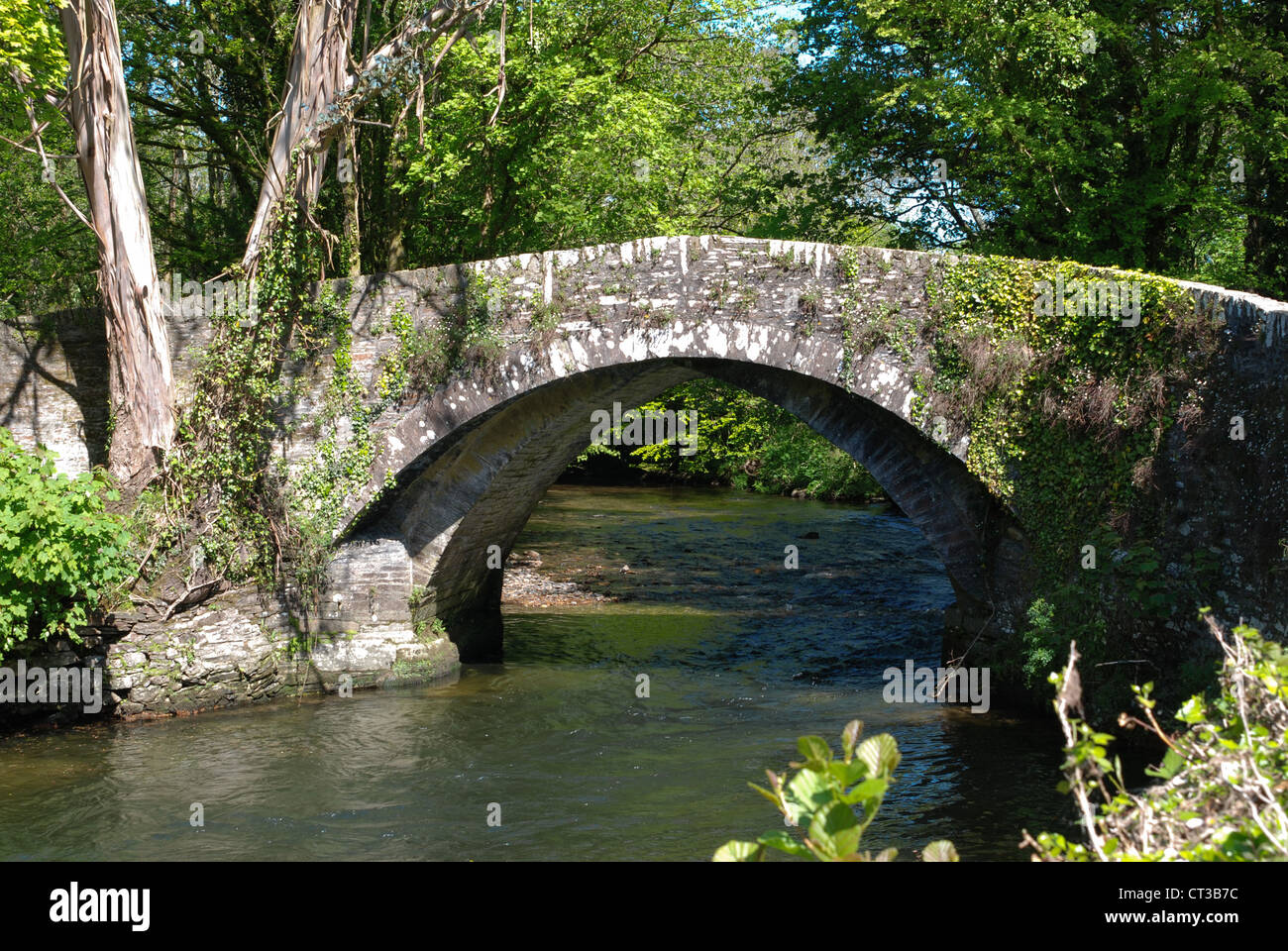 Topsham hi-res stock photography and images - Alamy