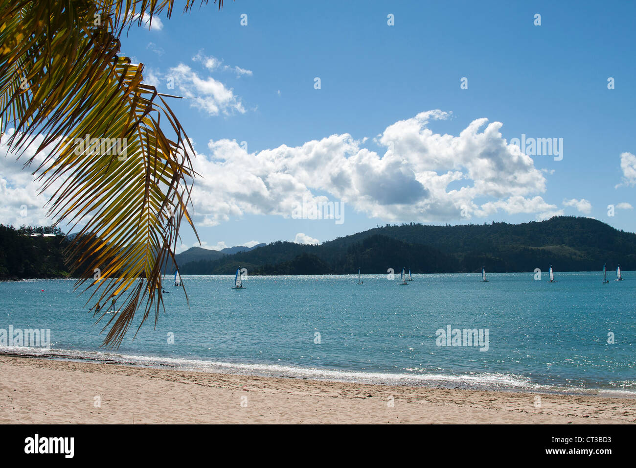 Hamilton island australia hi-res stock photography and images - Alamy