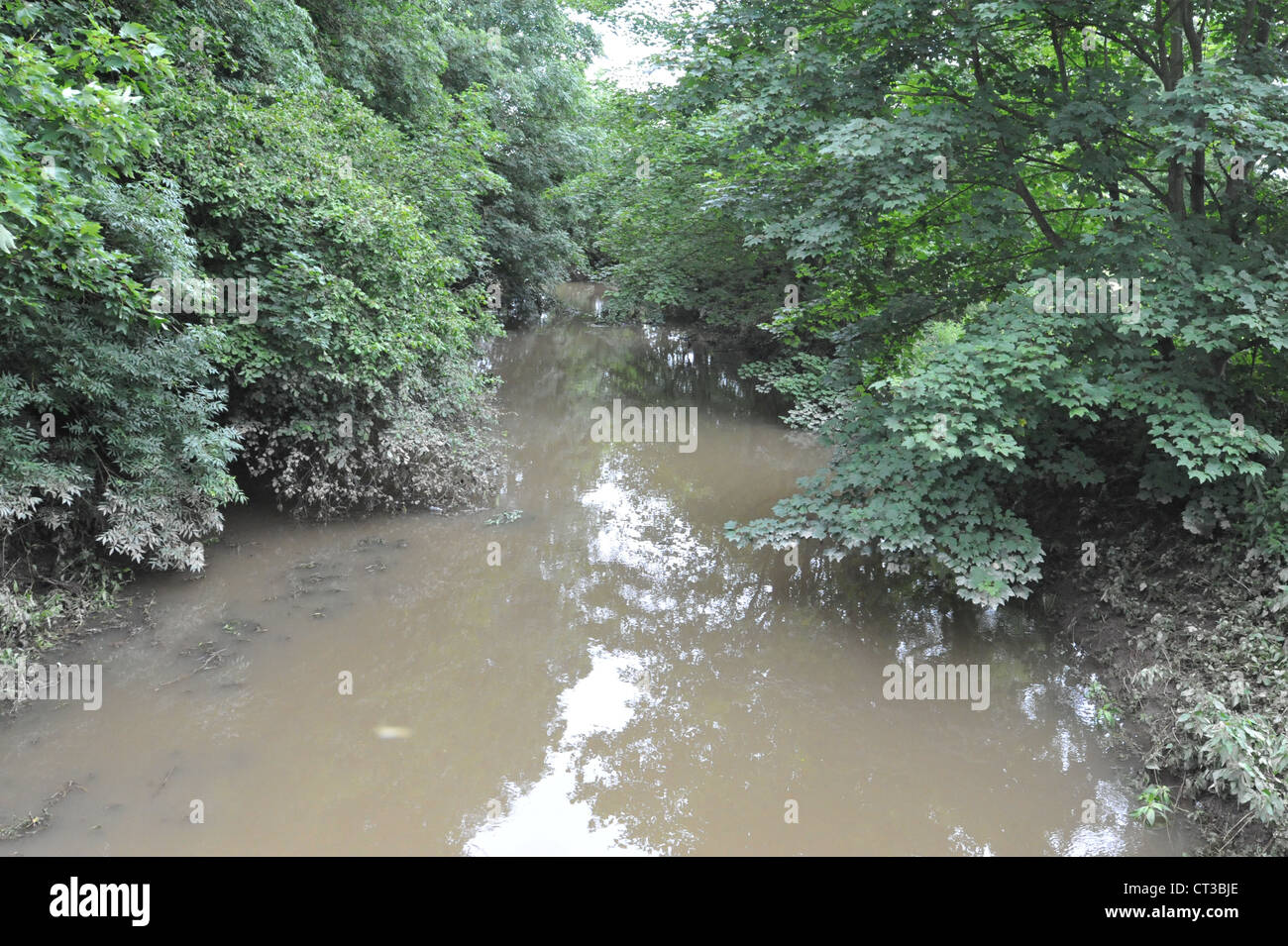 River mole spring hi-res stock photography and images - Alamy