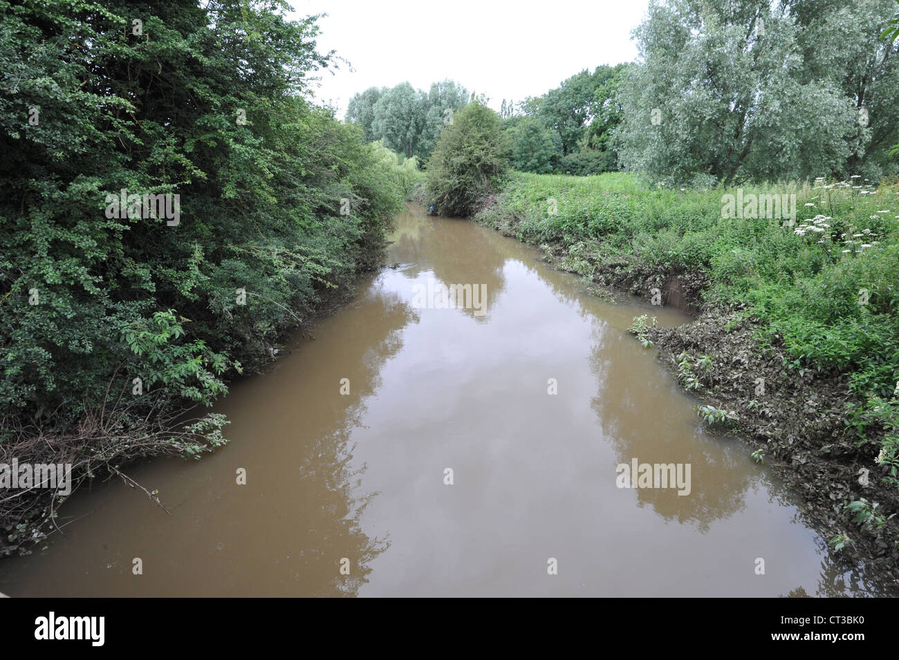 River mole spring hi-res stock photography and images - Alamy