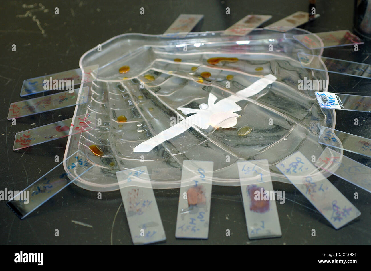 Bacteria analysis hi-res stock photography and images - Alamy