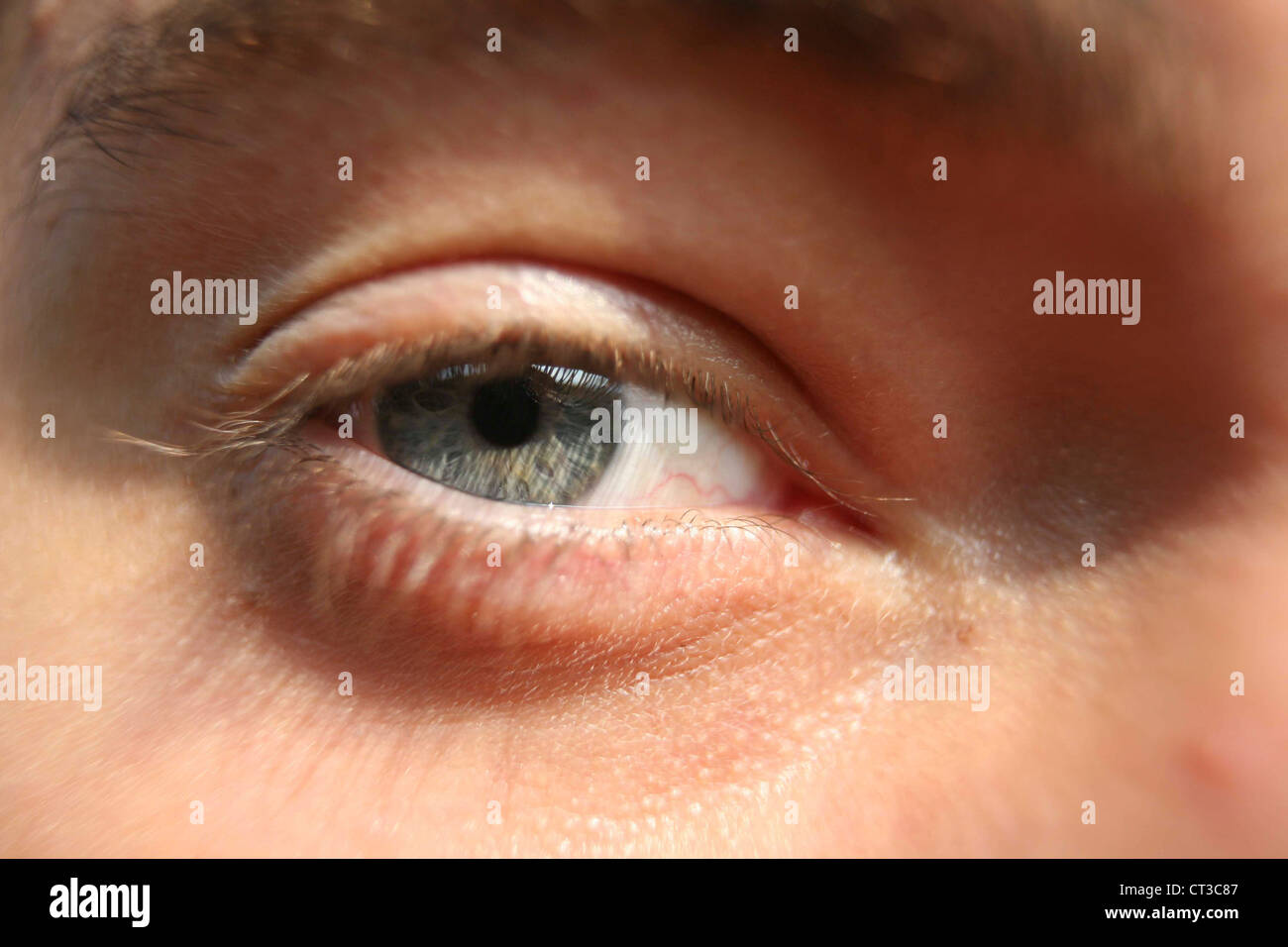 Detailed human eye hi-res stock photography and images - Alamy