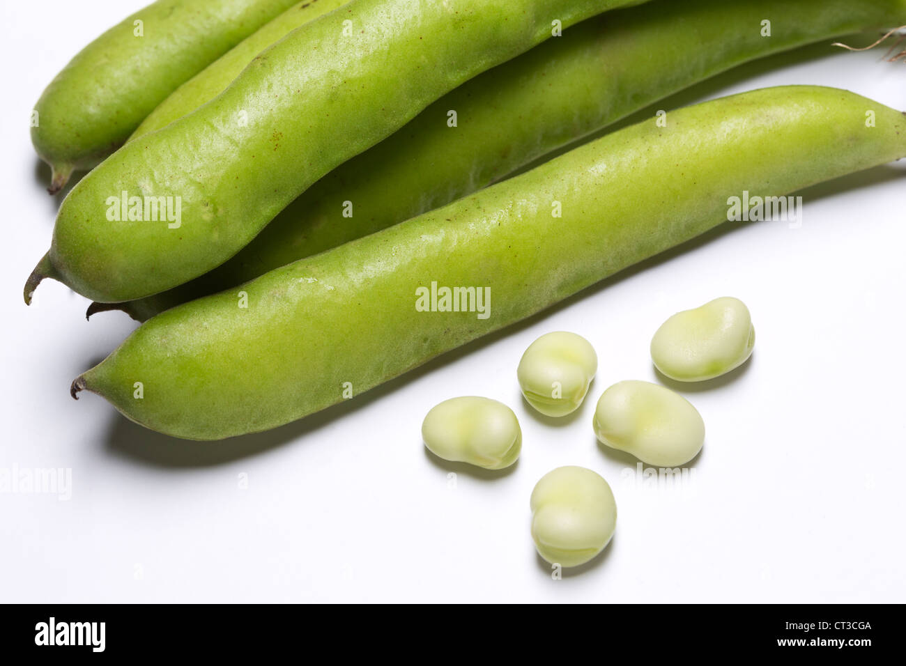 Broad beans on a white background Stock Photo - Alamy