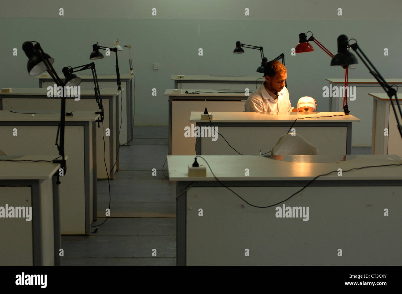 A dental student working on a table top model head and mouth Stock ...