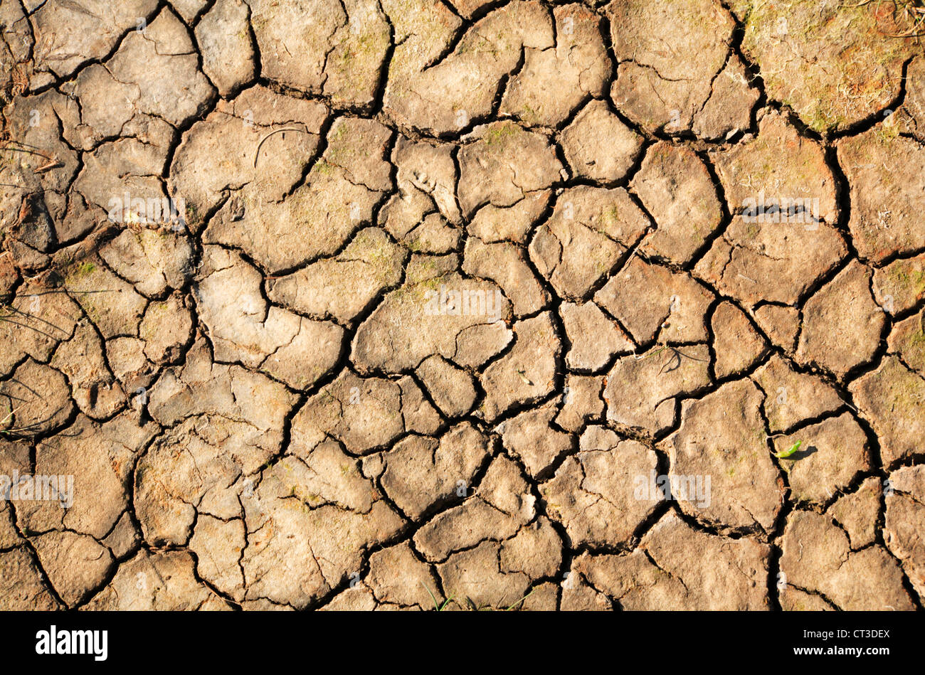 Dried mud pattern hi-res stock photography and images - Alamy