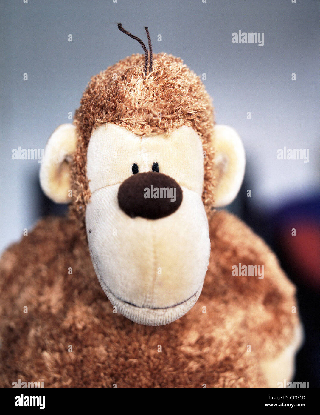 Stuffed toy monkey Stock Photo - Alamy