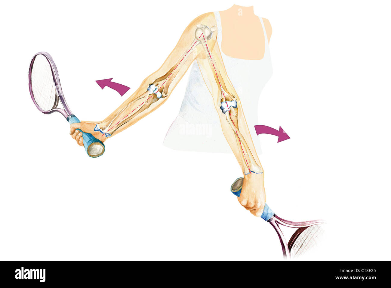 Supination High Resolution Stock Photography and Images - Alamy