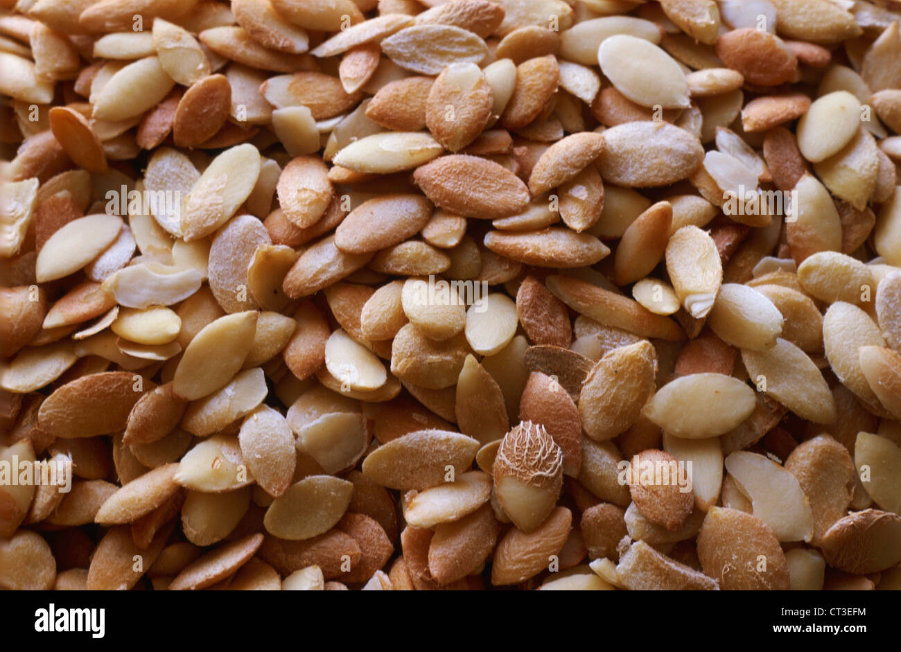 Argan seed hi-res stock photography and images - Alamy