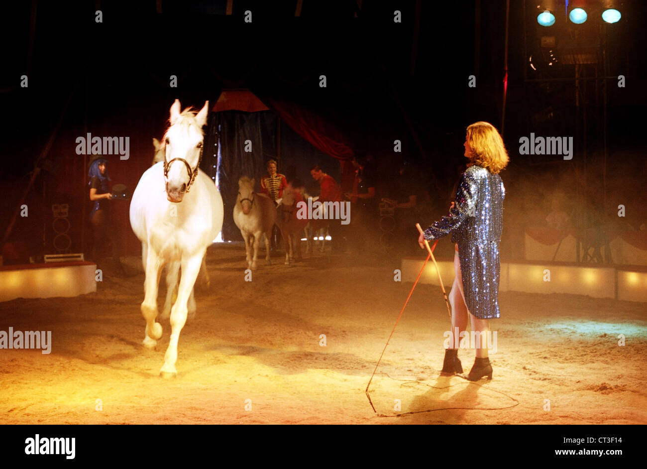 Circus horses hi-res stock photography and images - Alamy