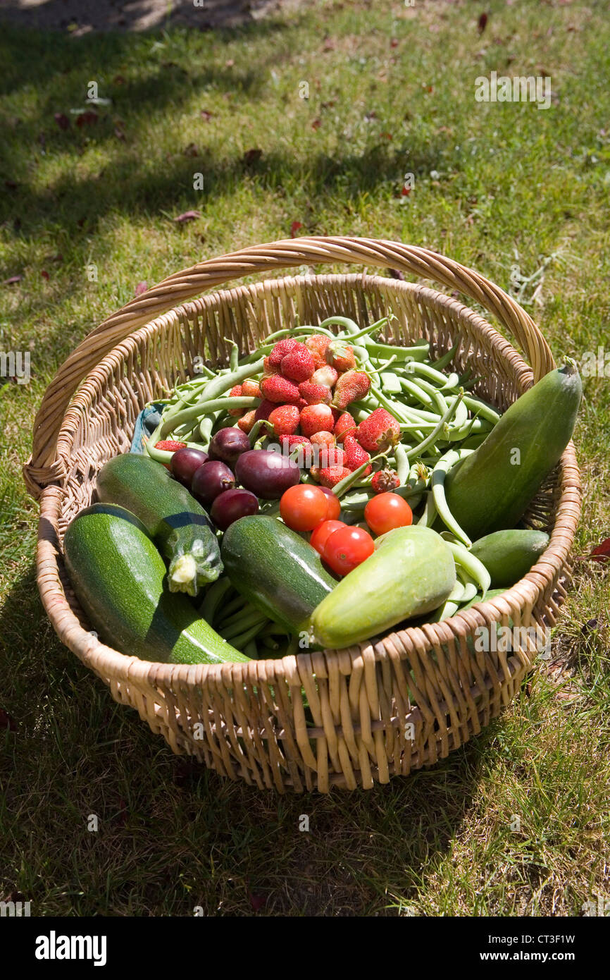 Harvesting products hi-res stock photography and images - Alamy